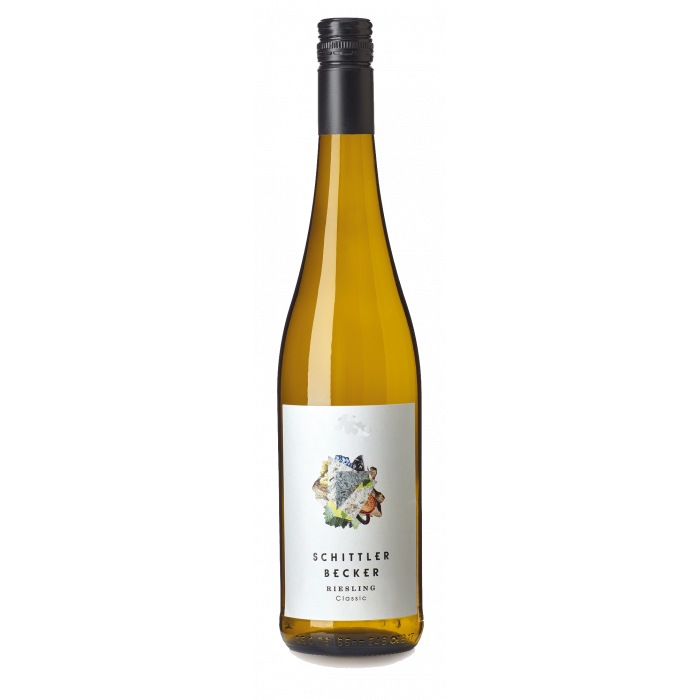 Schittler-Becker Riesling Classic trocken | Schittler-Becker - Wein Wolff